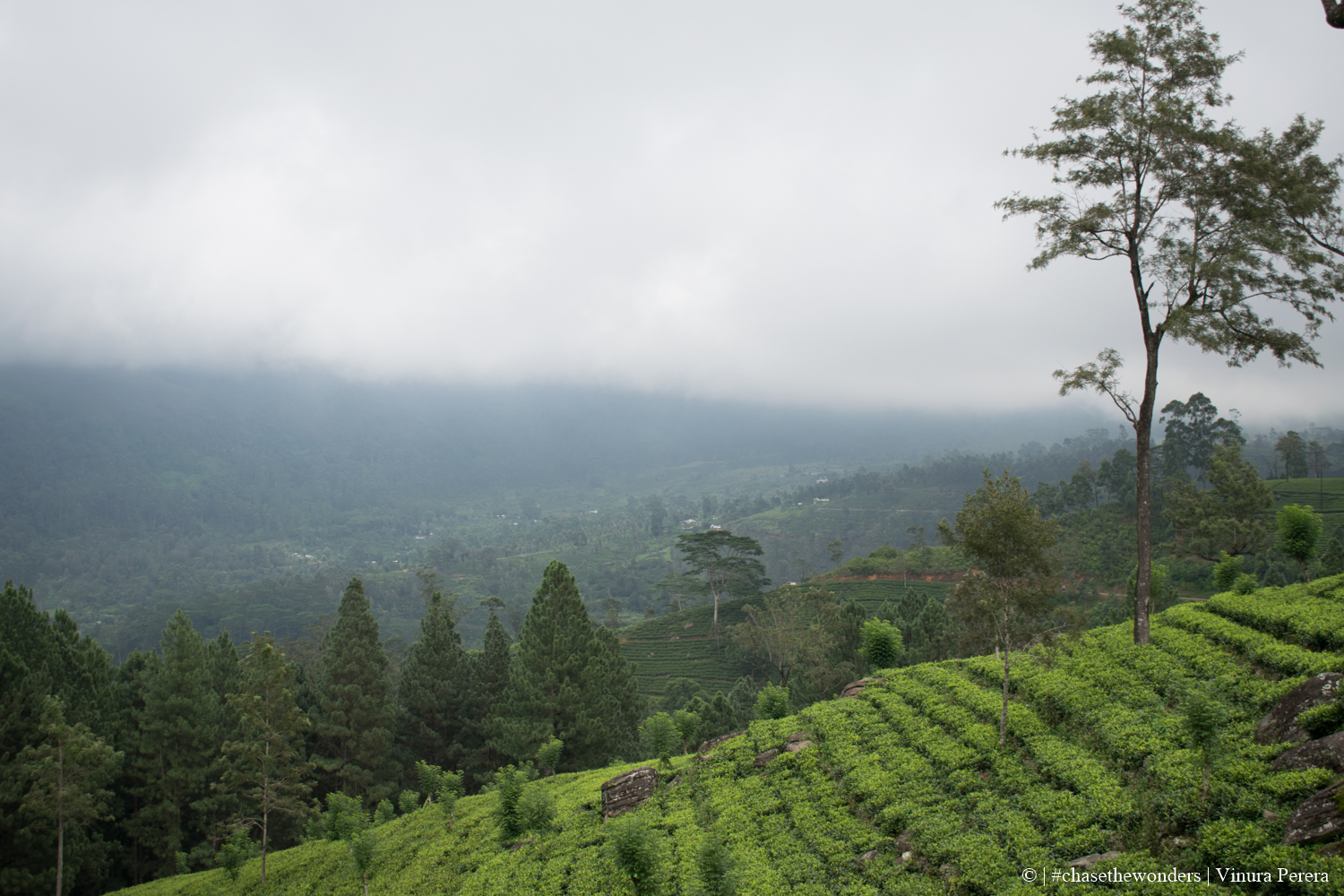 Chariot Path by Ravana and Seetha - Camping at Misty Mountains | Chase ...