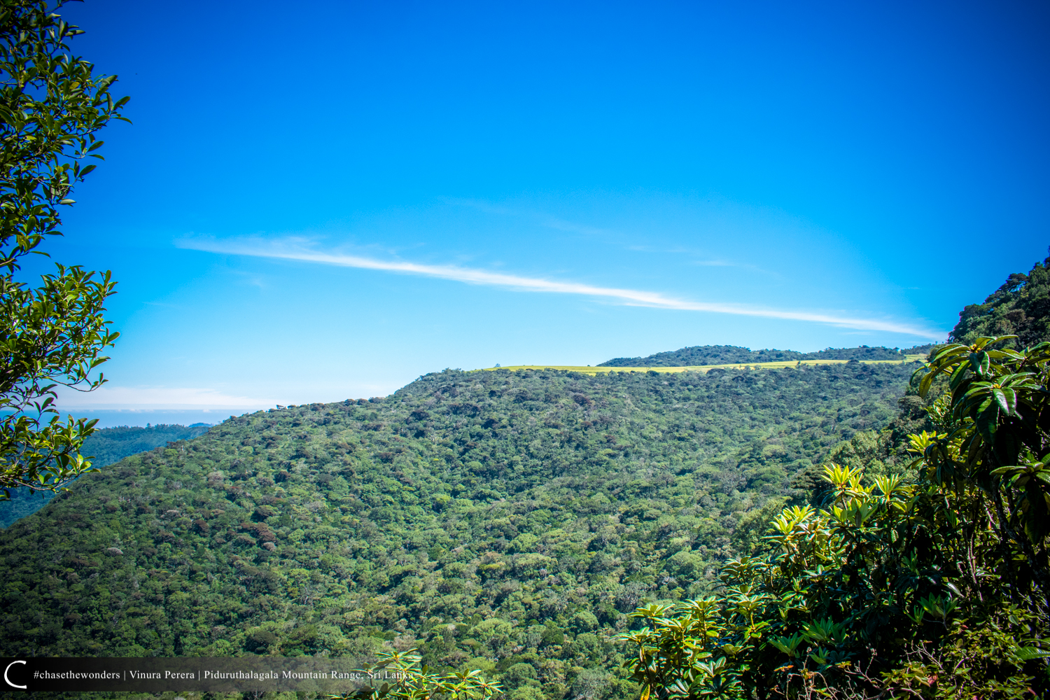 Towards the Summit of Piduruthalagala (Part 2) | Chase The Wonders
